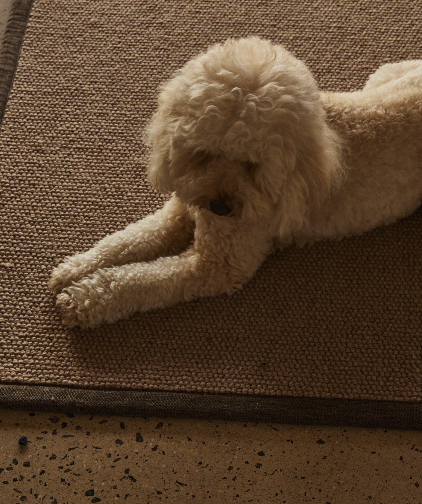 Samurai - Bremworth Wool Rugs AU